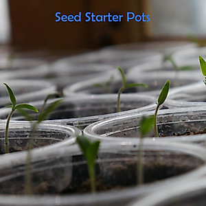 RAOOKIF Small Nursery Pots (15 Pcs 4" Black Pot+15 Pcs 3.5" Clear Pot), 30 Pack Small Plant Pots with Drainage Holes, Nursery Pots with Clear Humidity Dome