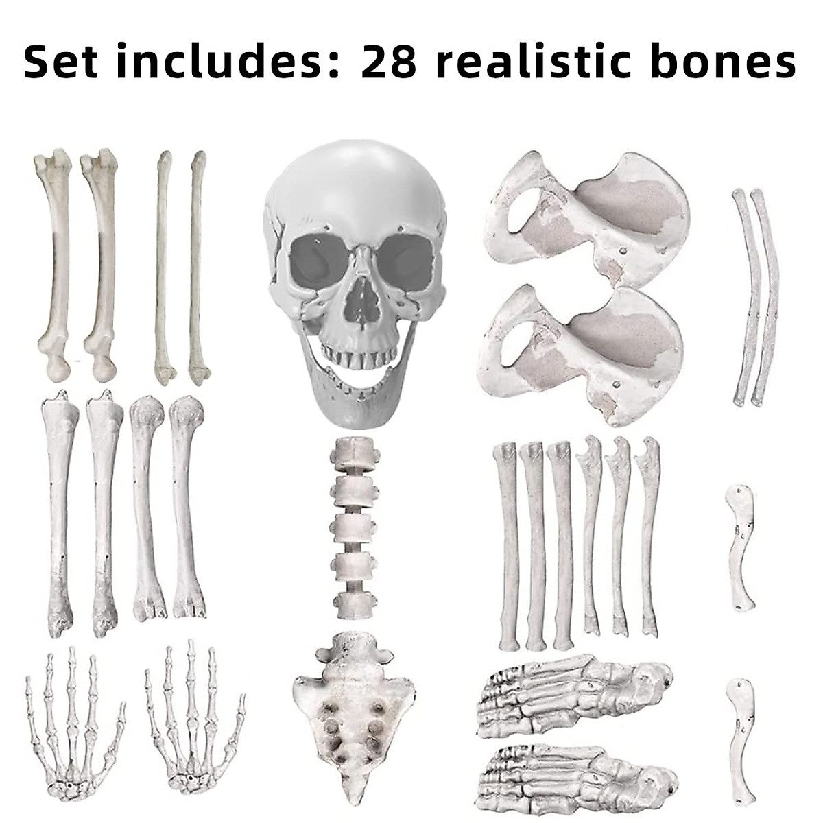 Halloween Skeleton Bones Realistic Looking Skulls Human Skeleton For Halloween Scary Graveyard Haunted House Lawn Yard Decorations(28 pieces）