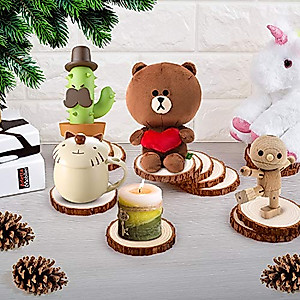 LESUMI Unfinished Natural Wood Slices with Bark - 20 Pcs 3.5-4 inch Wood Craft kit, DIY Kids Arts and Crafts Coasters Christmas Ornaments Rustic Wedding Decorations