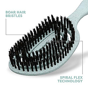 BioSilk for Dogs Eco-Friendly Boar Hair Bristle Brush in Mint Green | Easy to Hold Ergonomic Handle Dog Brush for Shedding | Best Pet Brush for Dog Grooming