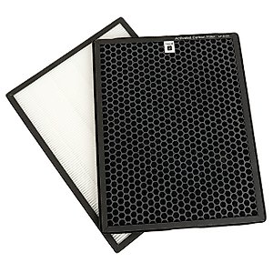 Flintar Premium True HEPA Replacement Filter, Compatible with Alexapure Breeze Air Purifier AP-B102 and 3049 Filter Set, including H13 Grade True HEPA Filter and Activated Carbon Filter