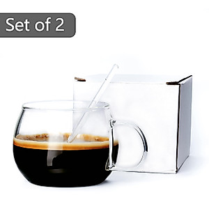 Tortoise IT Glass Clear Crystal Drinks Tumbler Tea Mug Coffee Cup for Espresso Scented Tea Lover Gifts with Glass Stirring Bar, 10.1 Oz (300ml) Set of 2