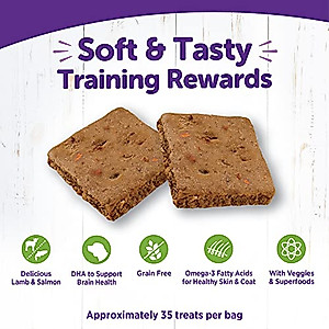 Wellness Rewarding Life Grain-Free Soft Dog Treats (Previously Wellbites), Made in USA with Natural Ingredients, Ideal for Training (Lamb & Salmon, 6-Ounce Bag)