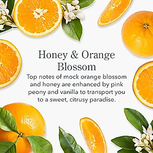 Beekman 1802 Lip Balm, Honey & Orange Blossom - Scented - 0.15 oz - With Goat Milk, Vitamin E & Beeswax for Dry, Cracked Lips - Good for Sensitive Skin - Cruelty Free - Packaging May Vary