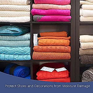 45 Pcs 5 Gram Silica Gel Packs, Transparent Desiccant, Desiccant Packets for Storage, Moisture Packs for Spices Jewelry Shoes Boxes Electronics Storage, Food Safe