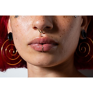 Pierced Owl 16G Implant Grade Titanium Rectangular Baguette CZ Crystal Lined Hoop Cartilage Helix Daith Rook Conch Hinged Segment Ring (Silver Tone, Diameter: 10mm)