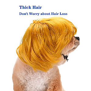 Funny Dog Cat Cosplay Wig, Headwear Apparel Toy, Pet Costumes, Cat Dress up for Halloween, Christmas, Parties, Festivals, Dog Wigs for Small Medium and Large Dogs (Pumpkin Yellow)