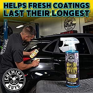 Chemical Guys SPI21416 Wipe Out Surface Cleanser Spray, 16 fl. oz