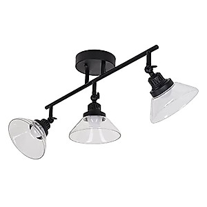 Catalina 23" Classic 3-Light Integrated LED Track Light with Adjustable Clear Glass Shades, Black