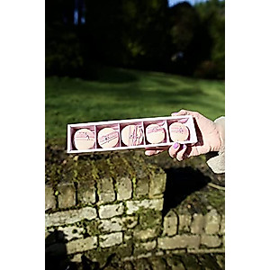 OLBAA Macaron Gift Box. Holds 5 Macarons. Perfect for painted and decorated macarons. 10 pack … (macaron 5 blossom pink)