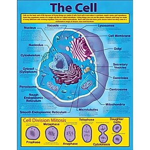 Carson Dellosa Mark Twain The Cell Chart (414019)