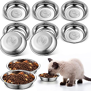 10 Pcs Shallow Cat Food Bowls 6.3 Inches Replacement Stainless Steel Cat Bowls Whisker Fatigue Relief Cat Bowls for Elevated Stand Metal Cat Dishes Basic Bowls for Cat Dishwasher Safe