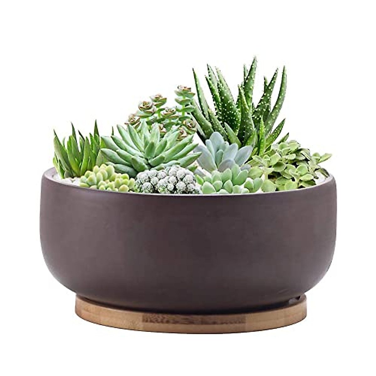 EPFamily 8 Inch Succulent Planter with Drainage Hole and Saucer for Plants Round Shallow Bonsai Planter Pot Decorate Home Office and Indoor