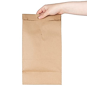 Stock Your Home 12 Lb Kraft Big Brown Paper Lunch Bags (100 Count) - Bulk Disposable Lunch Sacks, Large Size Blank Bag, Good for Snacks, Sandwiches, Grocery Food, and Arts & Crafts Projects