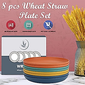 Wrova Wheat Straw Plates - 10 Inch Unbreakable Dinner Plates Set of 8 - Dishwasher & Microwave Safe Plastic Plates Reusable - Lightweight Plates for kitchen,camping (Colorful Series)