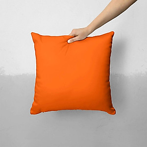iiRov Solid Burnt Orange - Custom Decorative Home Decor Indoor or Outdoor Throw Pillow Cover for Sofa, Bed or Couch Cushion (Pillow CASE Cover ONLY)