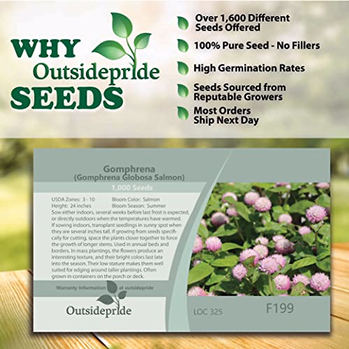 Outsidepride Gomphrena Salmon Globe Amaranth Garden Cut Flower Plants Great for Dried Floral Arrangements - 2000 Seeds