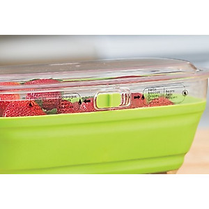Prepworks by Progressive Collapsible Mini Produce Keeper - 2 Quart