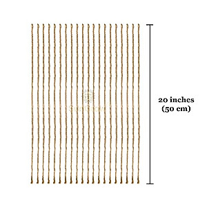 SunGrow Self-Dissolving Driftwood Strings, 20” Long Rope, Tie Java Fern, Moss, Anubias Plants, Blends with Cholla, Driftwood, 20-pcs