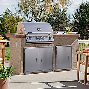 APWONE Outdoor Kitchen Doors Double BBQ Access Doors Removable 304 Stainless Steel Doors with Chromium Plated Handle - 31" X 24"