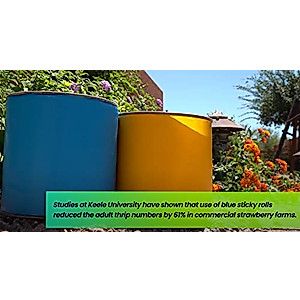 Giant Blue Sticky Traps - Tape Roll, 15cm x 100m - Insect Sticky Traps Plant Traps for Flying Insects, Fruit Fly, gnats Lantern Flies, for Garden Plant Outdoor/Indoor