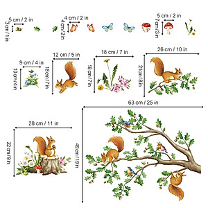 decalmile Woodland Animals Wall Decals Bundle with Squirrels on Branch Wall Stickers Baby Nursery Kids Bedroom Daycare Wall Decor