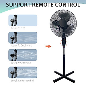 Meiwan 16″ Oscillating Pedestal Fan 3 Adjustable Speed Standing Fan for Indoor, Bedroom, Living Room, Home Office & College Dorm Use