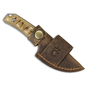 Cool Hand 5.98" Knife with Leather Sheath, Full Tang Compact Horizontal Carry Knife, Leather Belt Loop Sheath with Buckle, Outdoors Drop Point 440C Fixed Blade, Ram Horn Handle