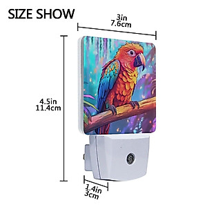 ZENWAWA Vivid Tropical Parrot Night Light Plug into Wall Decorative Auto Dusk to Dawn Sensor LED Night Lamp 2 Pack 3×4.5×1.4 in