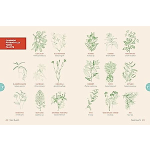 The Chicken Encyclopedia: An Illustrated Reference