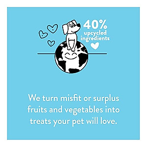 SHAMELESS PETS Soft-Baked Dog Treats, Original Variety 5-Pack - Natural & Healthy Dog Chews for Small, Medium & Large Dogs - Dog Biscuits Baked & Made in USA, Free from Grain, Corn & Soy