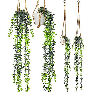 Oxsaytee 2 Pack Fake Hanging Plants with 2 Pcs Plant Hangers Fake Potted Plants for Wall House Home Office Room Patio Indoor Outdoor Aesthetic Decor