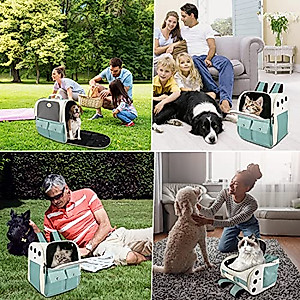 Top tasta Cat Backpack Carrier, Airline Approved, Ventilated Design, Breathable Mesh for Small Cats and Dogs for Hiking and Camping, Carry Up to 25 Pounds (Light Blue)