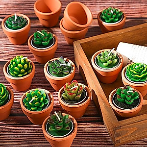 36 Pcs Succulent Candles Decorative Cactus Tealight Candle Tea Lights Handmade Baby Shower Candle Decorations Plant Candle with Mini Terracotta Clay Candle Holders for Wedding Home Party Decor