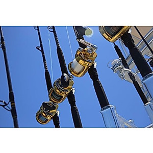 Penn International VIS 2 Speed Reel , Gold, 30