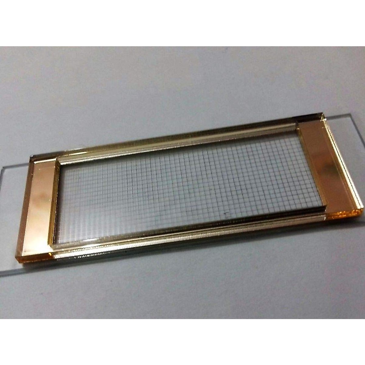 Yantra Gridded Sedgewick-Rafter Counting Cell with Case - Few GRIDS Missing