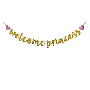 Welcome Princess Banner, Baby Shower Party Sign, Gender Reveal Party Bunting, Welcome Baby Girl Banner, Baby Girl's Birthday Party Decorations