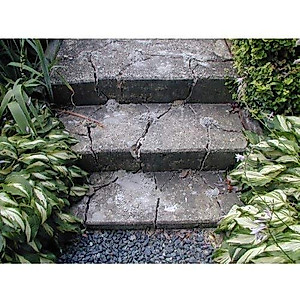 Dexpan Expansive Demolition Grout 44 Lb. Box for Rock Breaking, Concrete Cutting, Excavating. Alternative to Demolition Jack Hammer Breaker, Jackhammer, Concrete Saw, Rock Drill (DEXPAN44BOX2) (50F-77F)