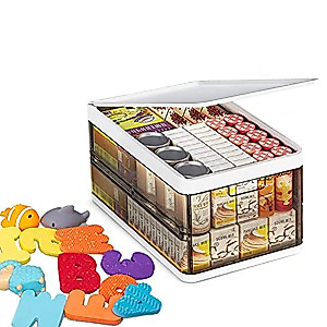 RoyalArt Lidded Collapsible Storage Bins Stackable Foldable Plastic Closet Organizer and Storage Box 18 Qt for Clothes Sheet Toys with Lid, 2 Pack