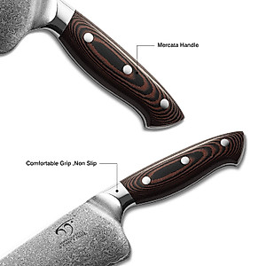 Damascus Chef Knife, 8 Inch Professional Damascus Kitchen Knife Forged with VG10 Super Steel 67-Layer, Non-slip Ergonomic Micarta Handle, Razor Sharp Lightweight Multipurpose Full Tang Gift Box