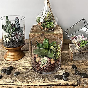 Black River Rocks for Plants 5.5 LB Small Decorative Pebbles 1"-1.5" Polished Stones Smooth Aquarium Gravel for Fish Tank Vases Indoor Planters Outdoor Landscaping Garden (88oz)