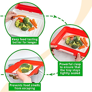 BOXSORY Food Preservation Trays - New Version 2021, Stackable, Reusable and Odor Free - Dishwasher Safe Refrigerator Storage Tray (4pcs) + Stretch Lids (6pcs)