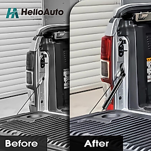 HelloAuto Truck Tailgate Assist Shock fit for Ford F250 F350 2017 2018 2019 2020 2021 2022 2023 2024, F150 Truck Accessories, Super Duty Heavy Duty Tailgate Shock(black), Pack of 1