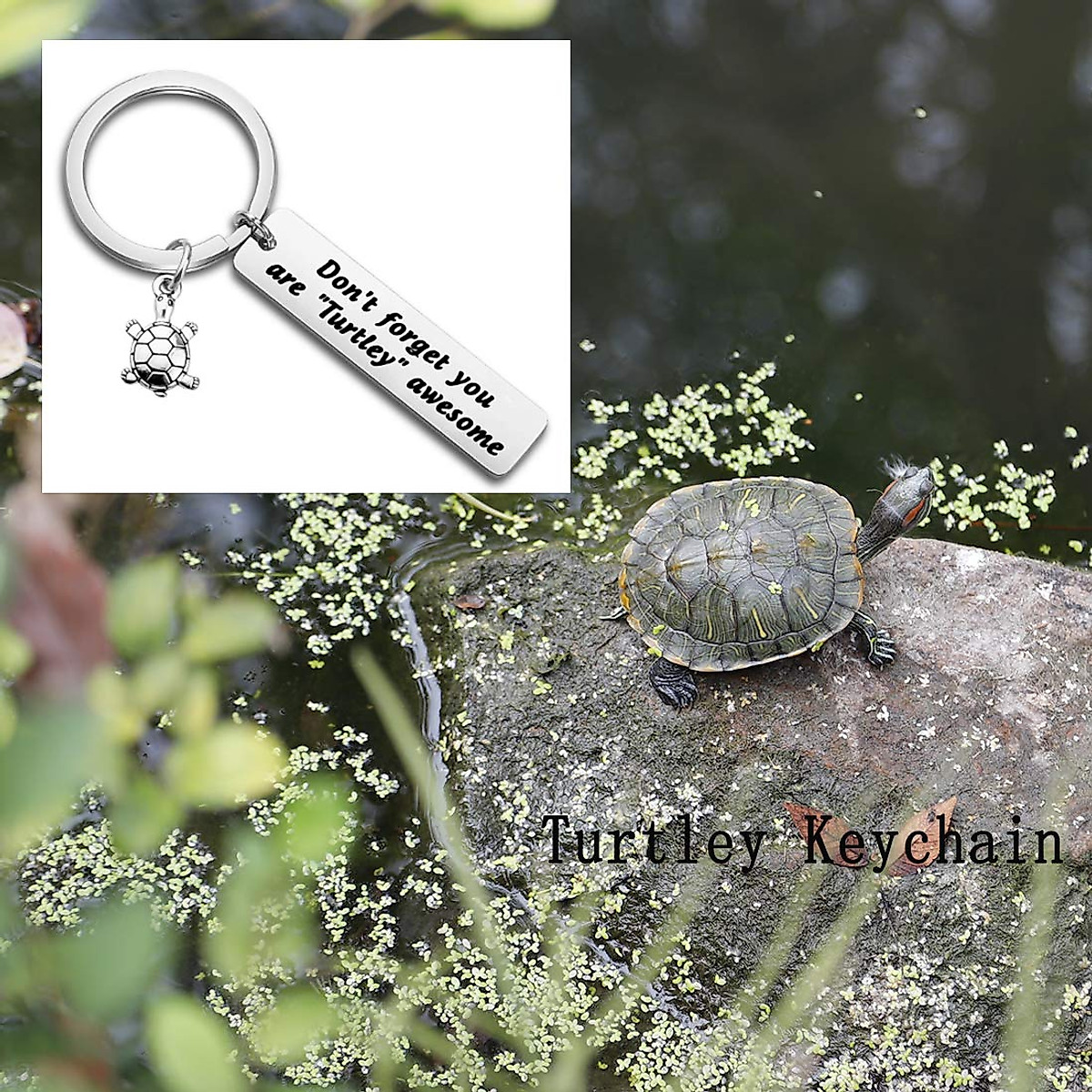 HOLLP Turtle Bracelet Awesome Bangle Beach Jewelry Don’t Ever Forget You Are Turtley Awesome Jewelry (Keychain)