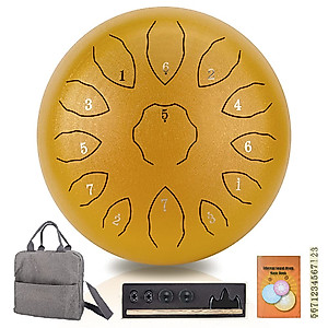 Steel Tongue Drum Instrument, Hantop 12 Inches 13 Notes Percussion Instrument Kit Tank Drum C Key with Accessory Box, Bag, Music Book and Mallets for Meditation Musical Education Mind Healing Yoga