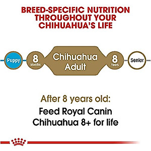 Royal Canin Chihuahua Adult Dry Dog Food, 10 lb bag