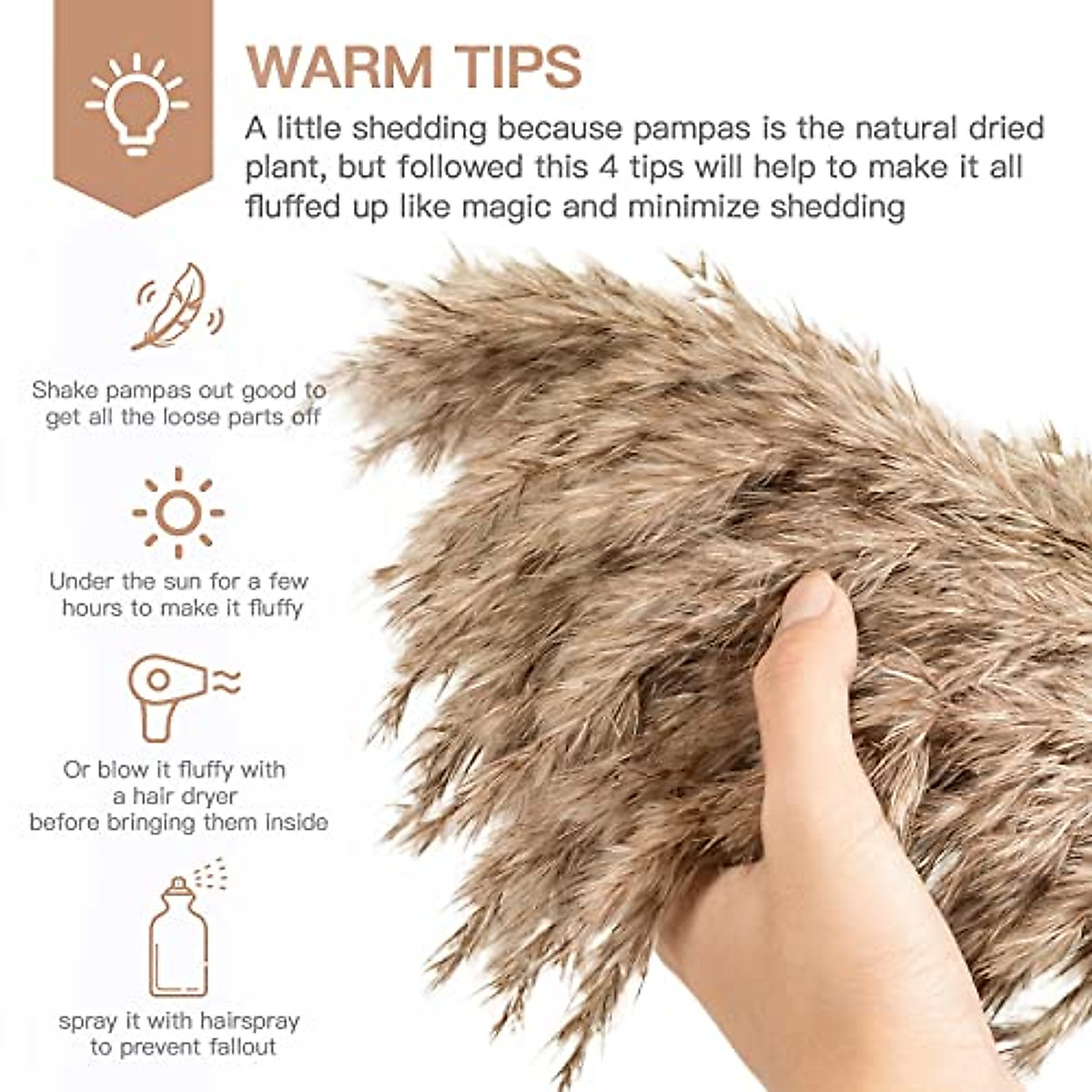 HUMINBO Pampas-Grass Pompous Dried Pampass Plants Fluffy Pompas Grasses 30 Stems Small Pompus Short