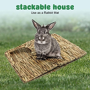 MODEMODE Natural Seagrass Mat Bed Hideaway Toy, Hand Woven for Rabbit Guinea Pig Chinchilla Ferret
