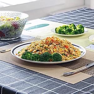 YFWOOD Ceramic Dinner Plates Set Of 6, 10.5 Inch Kitchen Dish Set, Contemporary Round Porcelain Tablewar,Microwave,Dishwasher and Oven Safe, Scratch Resistant Deep Plates - White & Blue Double Line