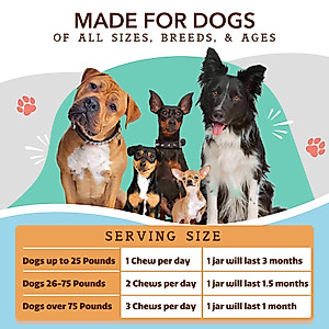 Natural Dog Company Multivitamin Chews and Ultra Omega Oil for Active Dogs - Nutrient-Rich Dog Treats with Omega-3 and Essential Vitamins, Supports Cognitive Health and Overall Vitality for All Breeds